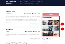 SnapWidget - Most Popular Responsive Instagram Widget for Blog or Shopify